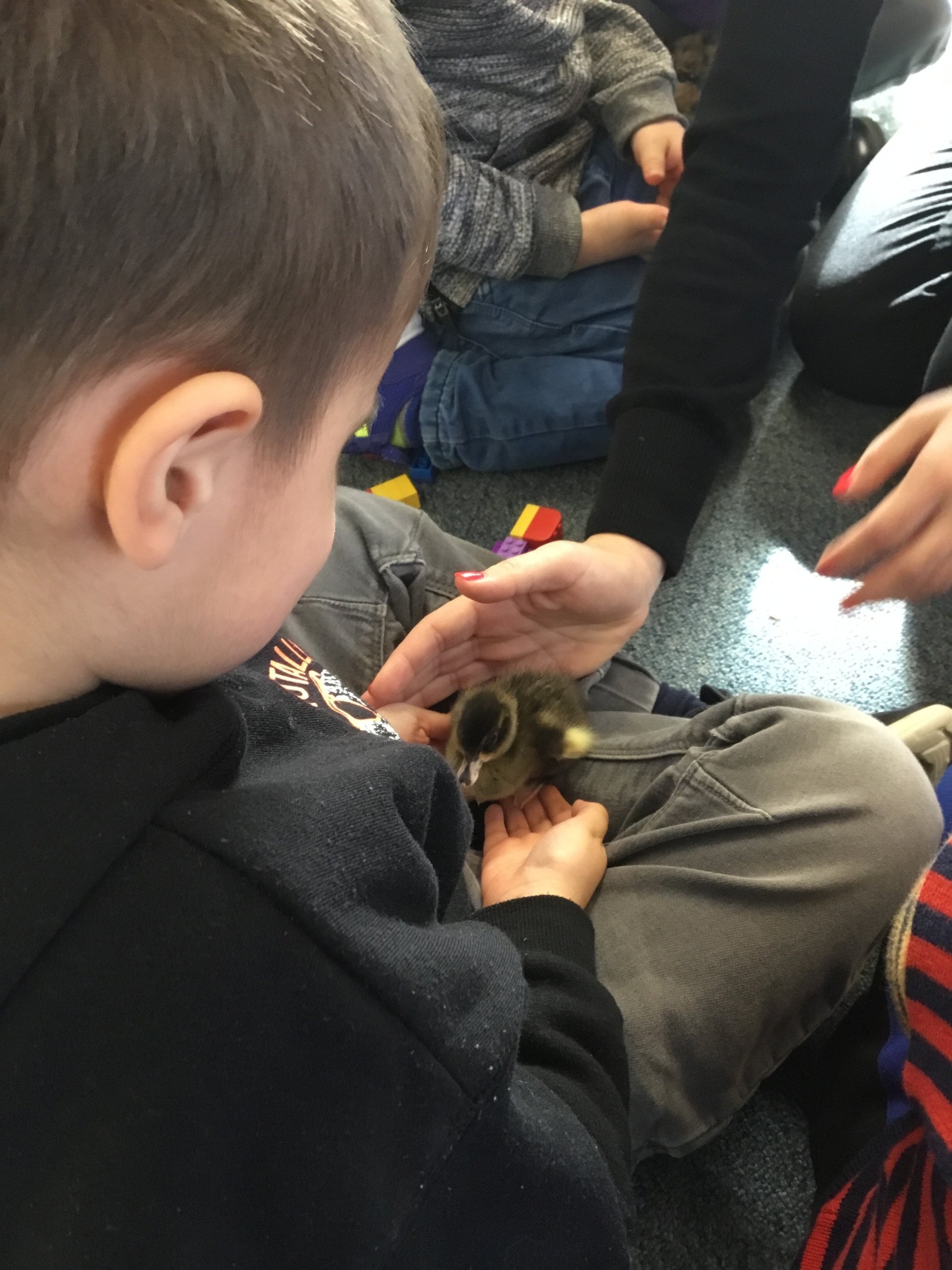 Footsteps Daycare 2018 Ltd, Northampton Town Centre Nursery