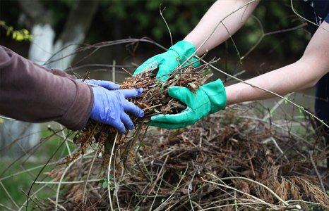 Enhanced cleaning in Surrey | Shiners Cleaning & Support Services