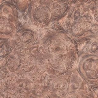 Fogli intarsiati di radica di noce | Roma | Green Wood Tranciati