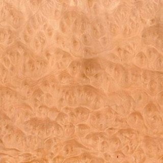 Fogli intarsiati di radica di noce | Roma | Green Wood Tranciati