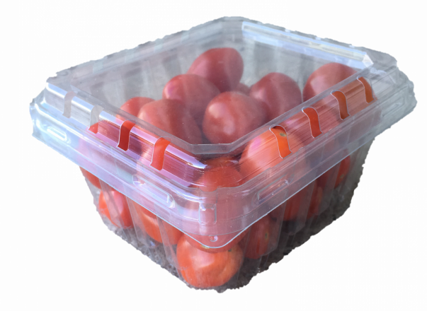 Tomato Packaging and boxes
