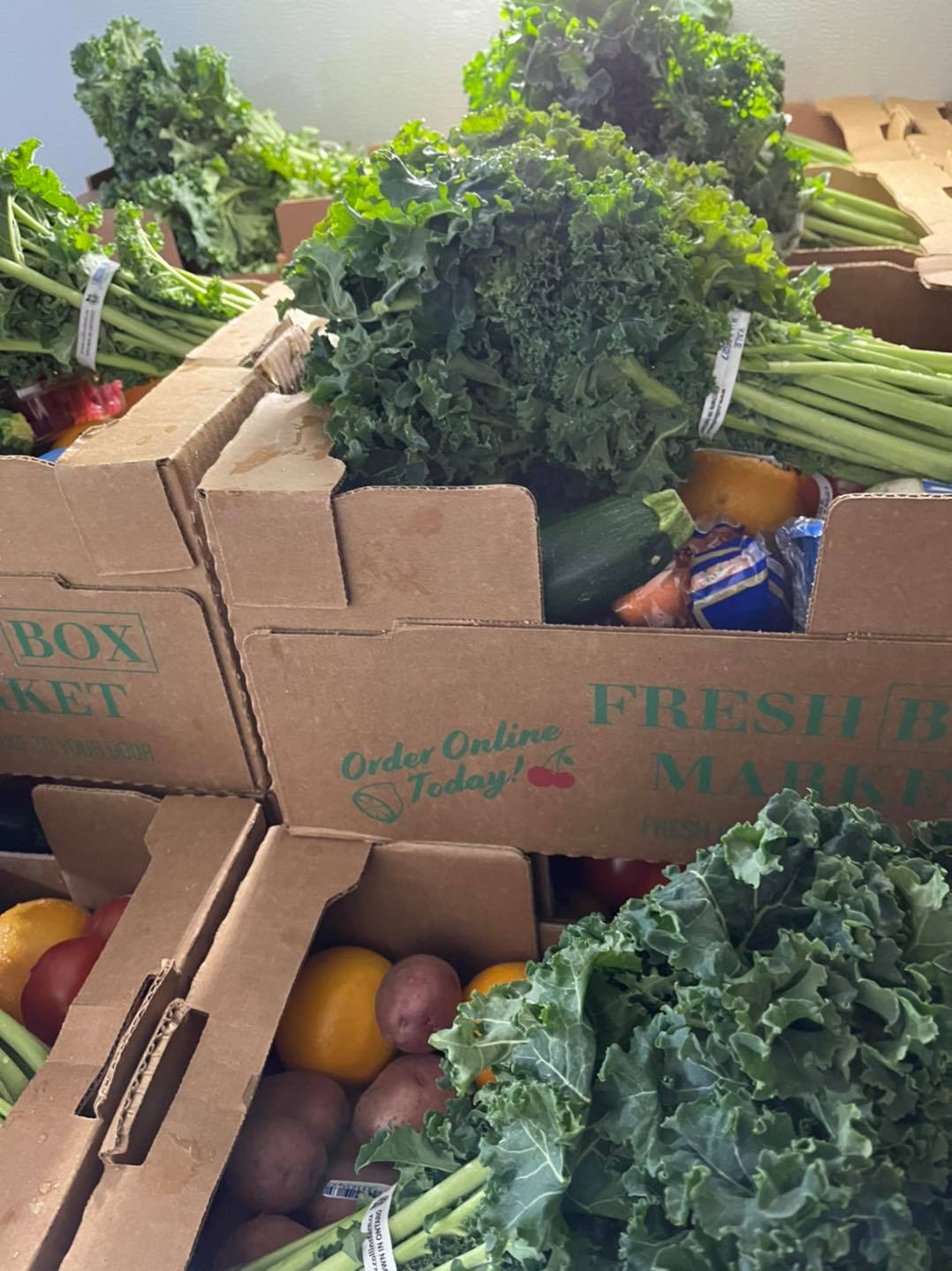 Wellington Produce Packaging