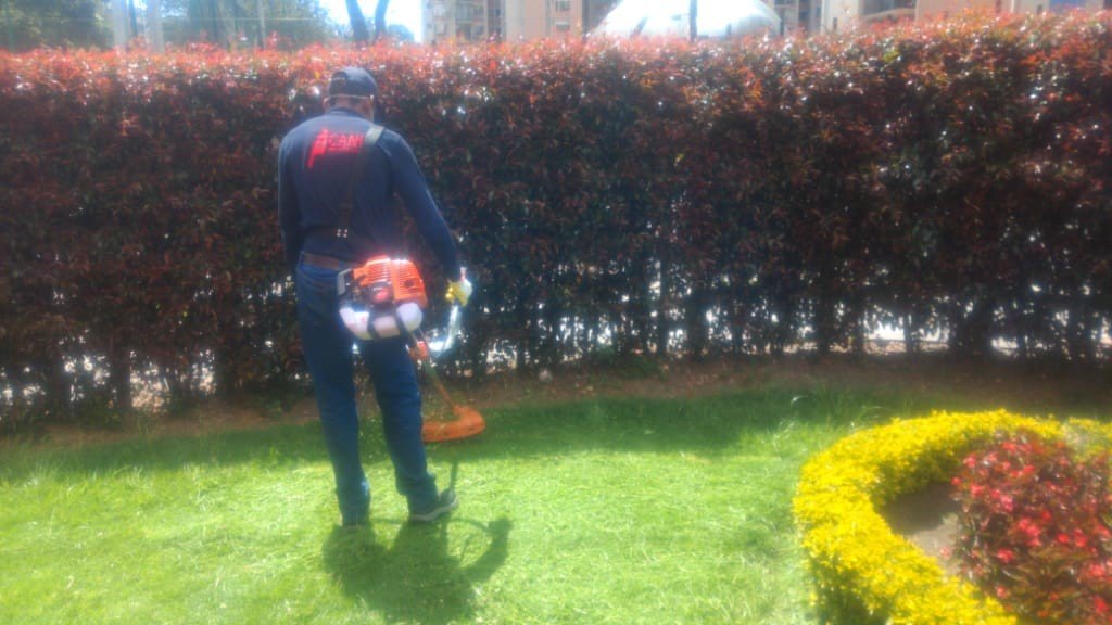 ACANI SERVICIOS SAS - EL MEJOR ALIADO PARA SU GESTIÓN