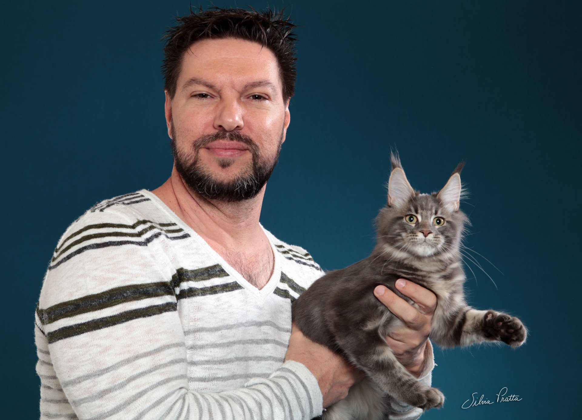 Filhotes Maine Coon em SP - Gatil Monte Olimpo