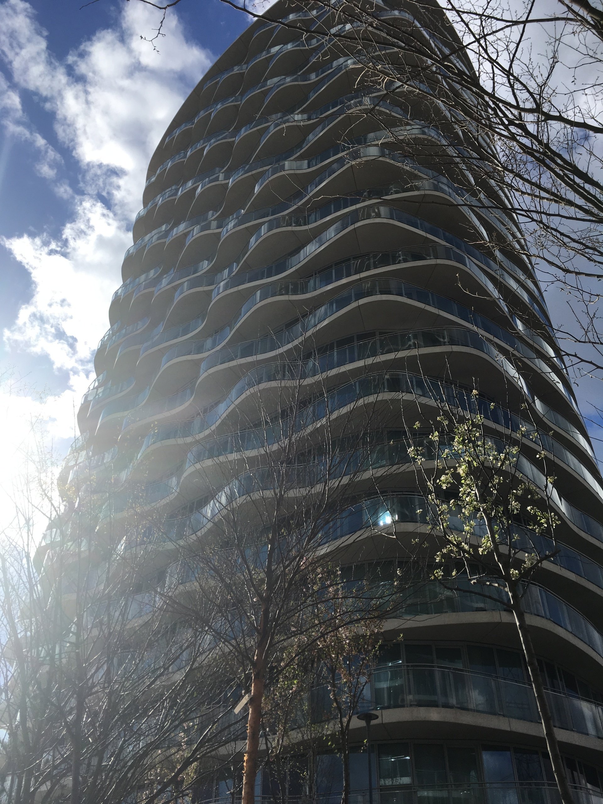 Tidal Basin Project Page