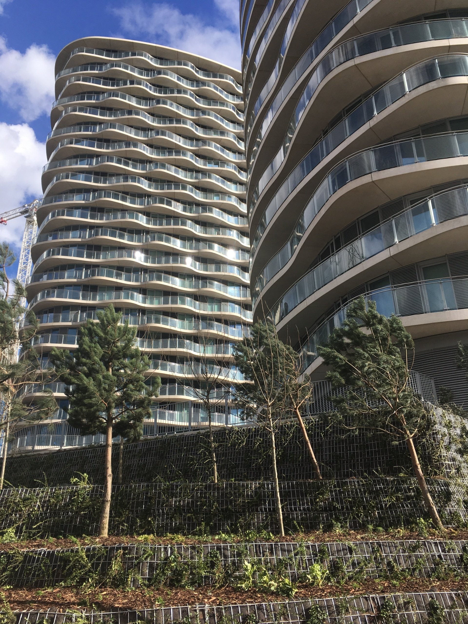 Tidal Basin Project Page