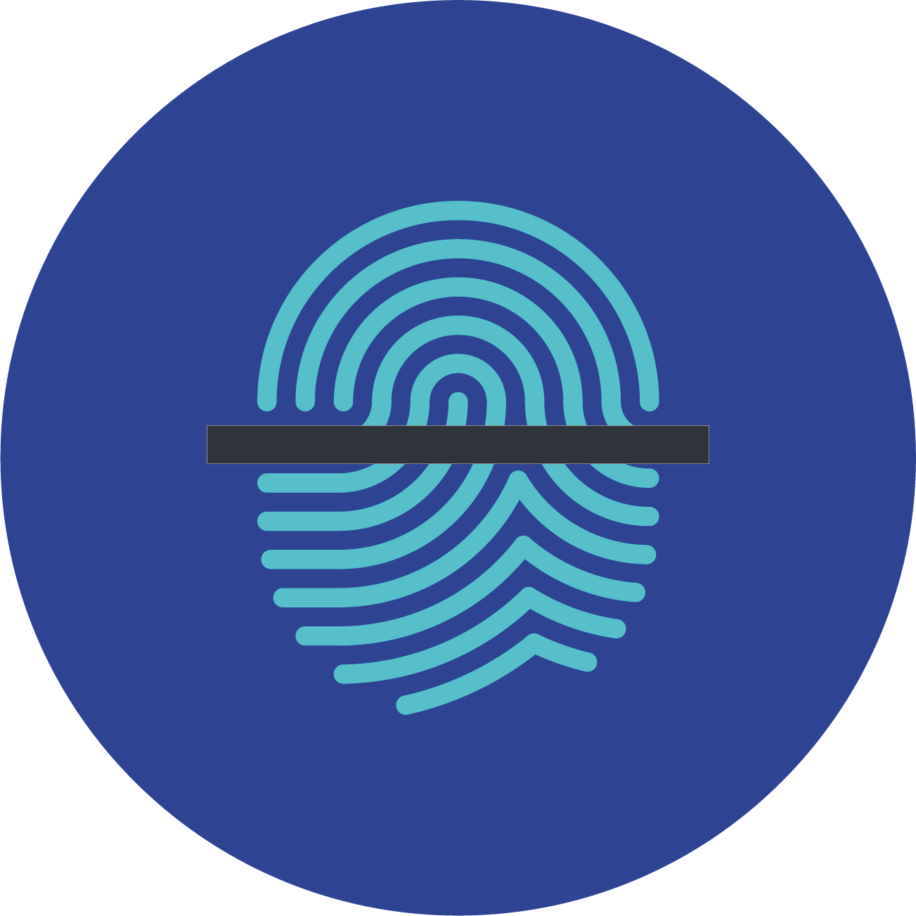 SAFE - Security and Fraud Experts