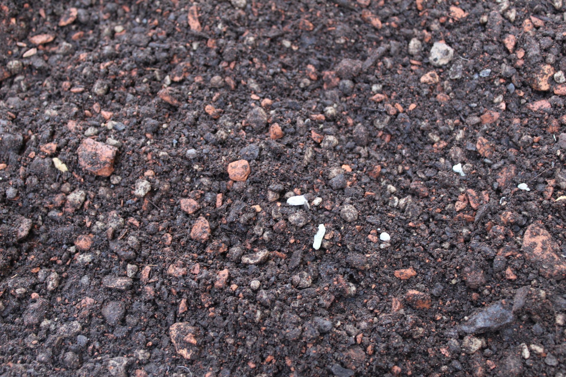 Substrat végétalisation toiture | VITA COMPOST