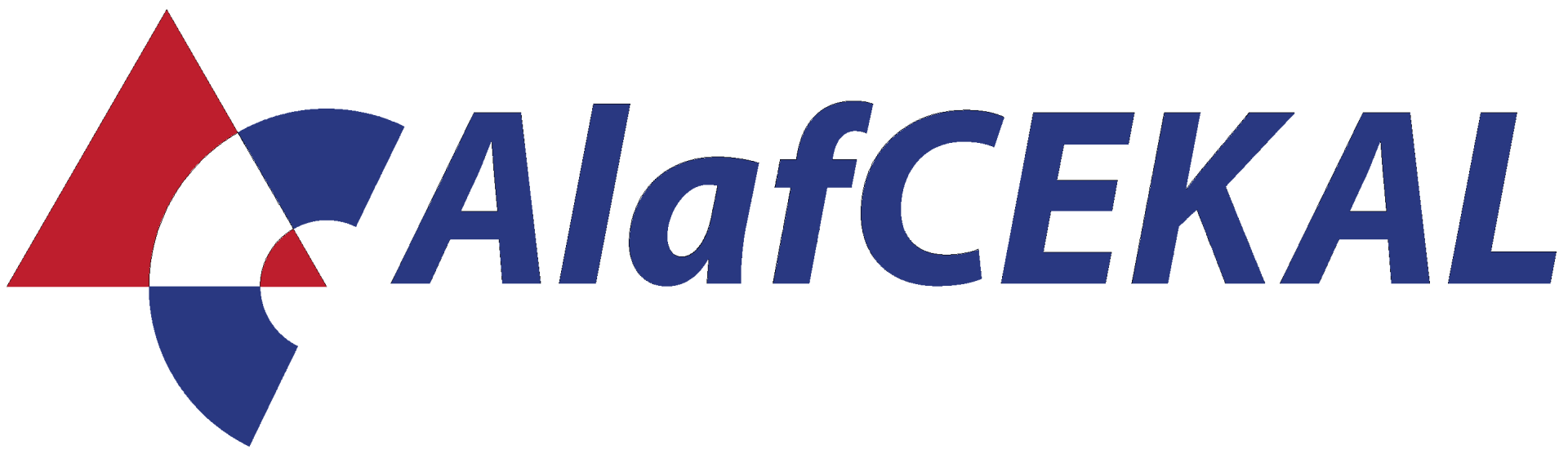 Development & Manufacturing of Amps