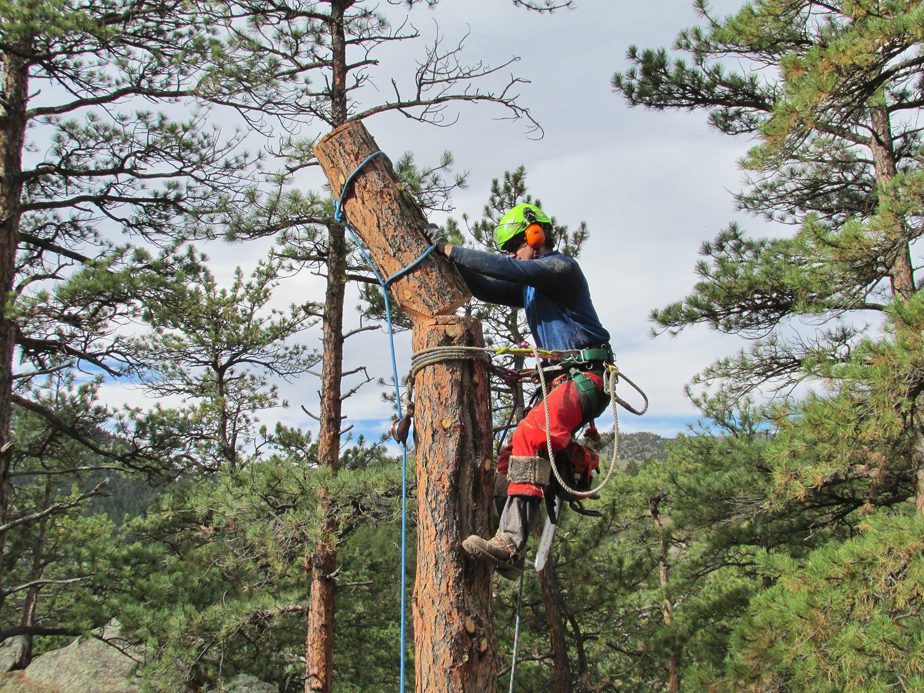 ArborMaster In-House, Hands-On Safety, Skill & Productivity Training