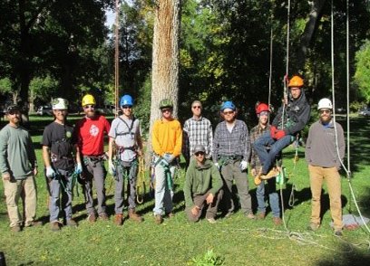 ArborMaster Training Testimonials