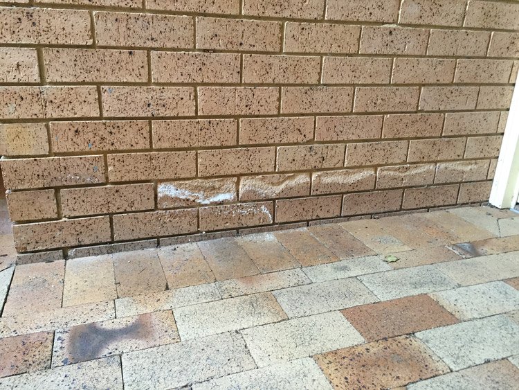Salt Damaged Bricks in Central Coast | Heritage Bricklaying & Remedial