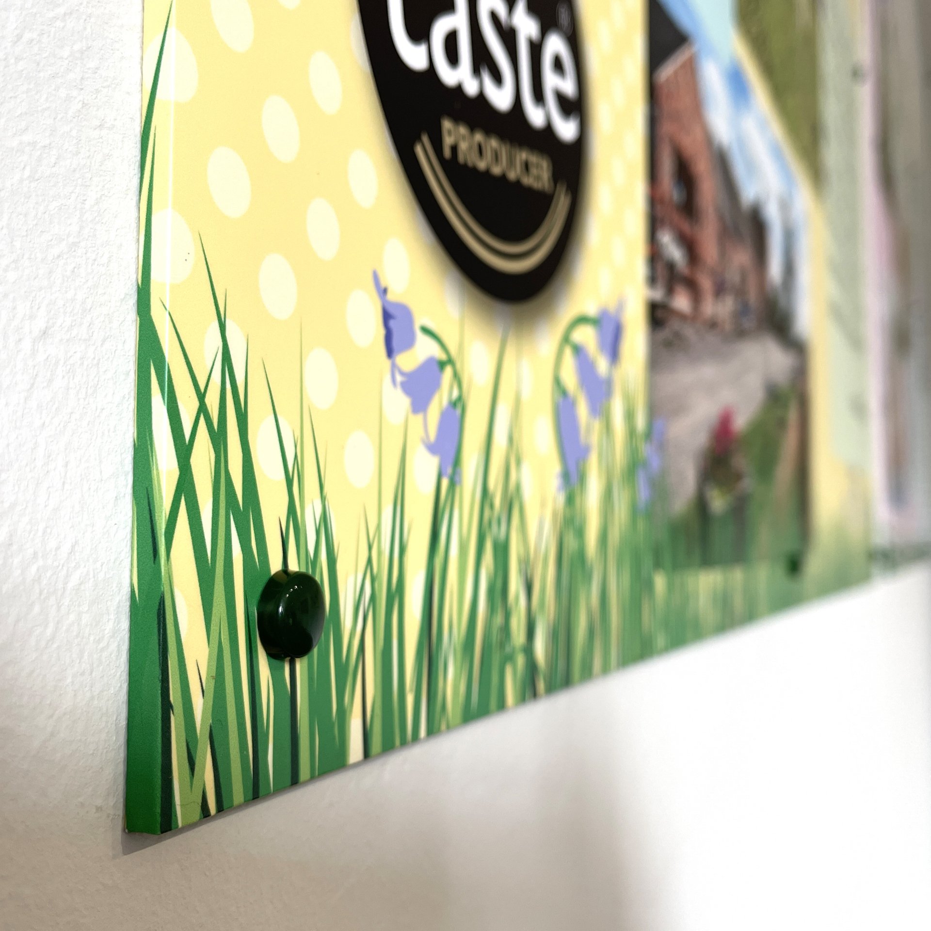 Rigid Graphic Panels | Exhibition Displays