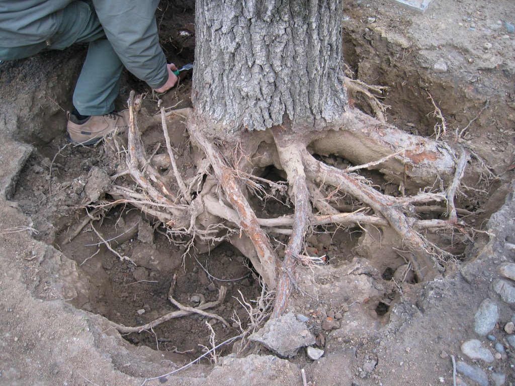 Escavatori a risucchio - Val di Susa - Torino - Soffietto Servizi ...