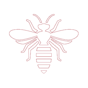 Pest/Termite Control Company | Athens, GA | Athens Exterminating