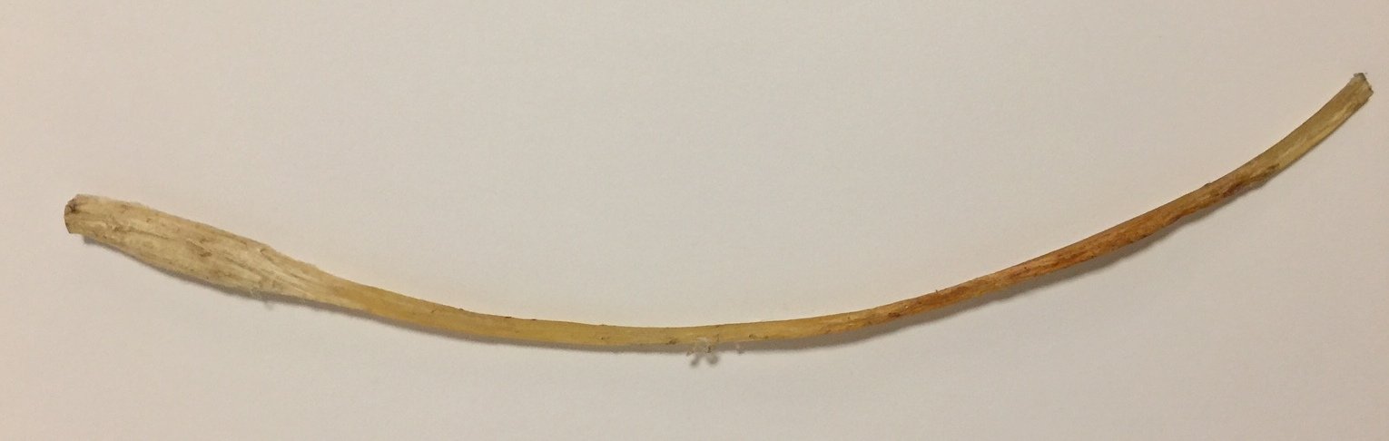 Giddin (animal sinew) and sewing