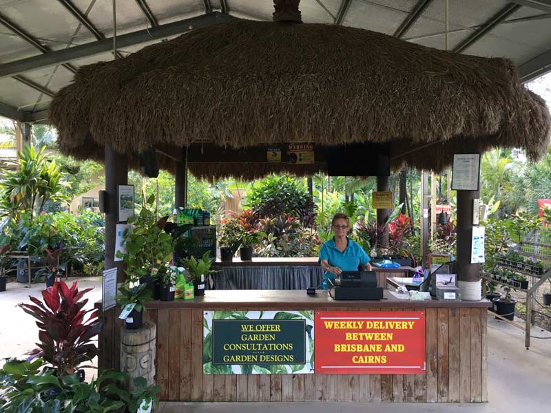 Plant Nursery in Central QLD | Benaraby Junction Nursery