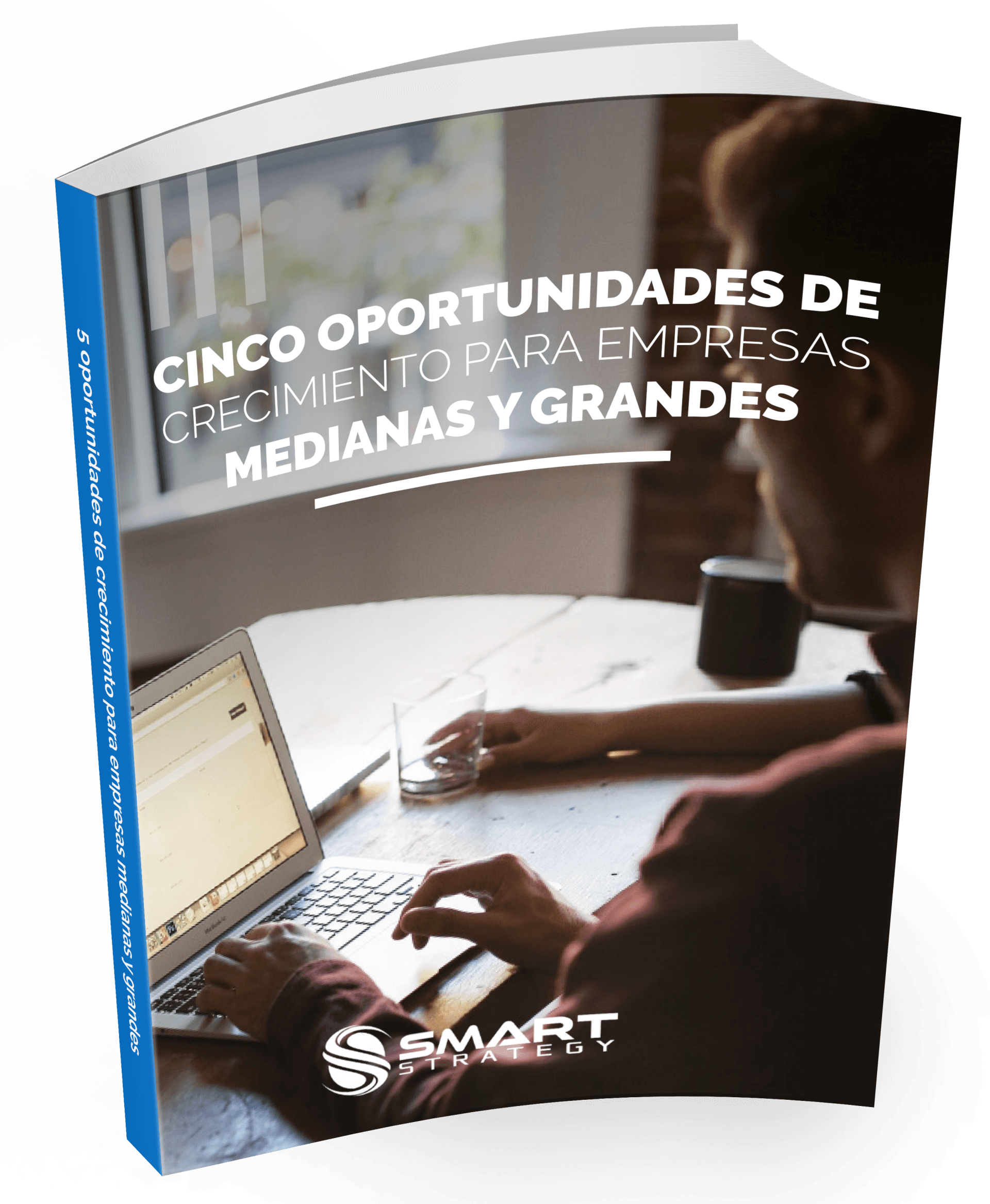 NetSuite Oracle - GESTIÓN EMPRESARIAL UNIFICADA