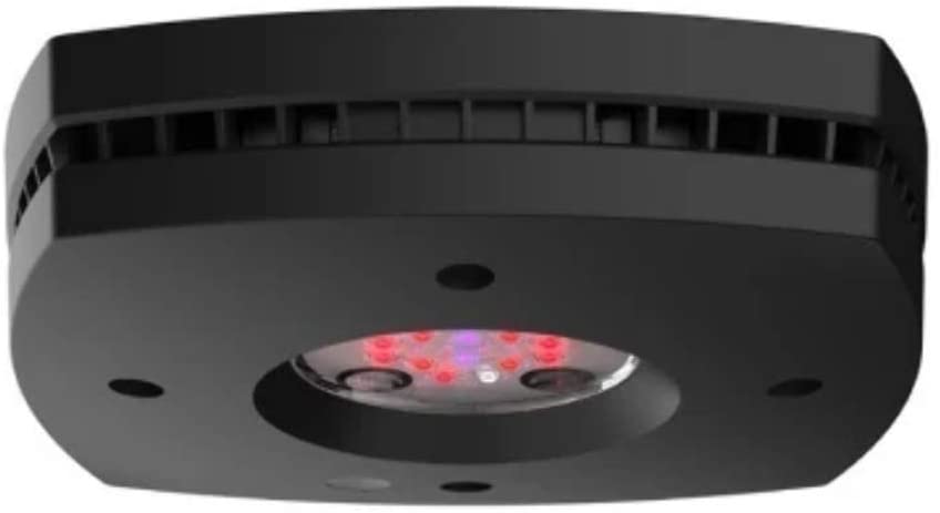 What is the best lighting to grow macroalgae in a reef or refugium