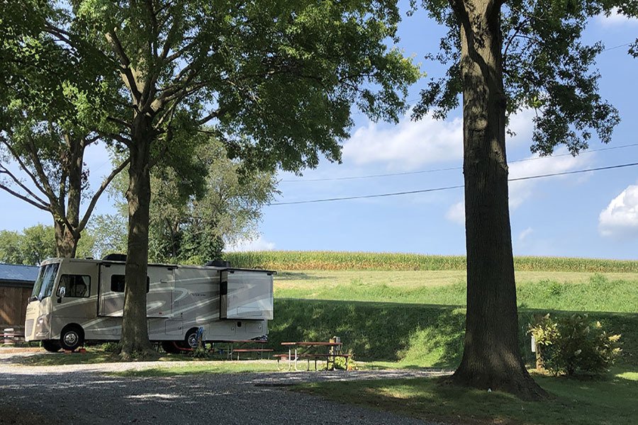 Beacon Hill Camping | Gallery