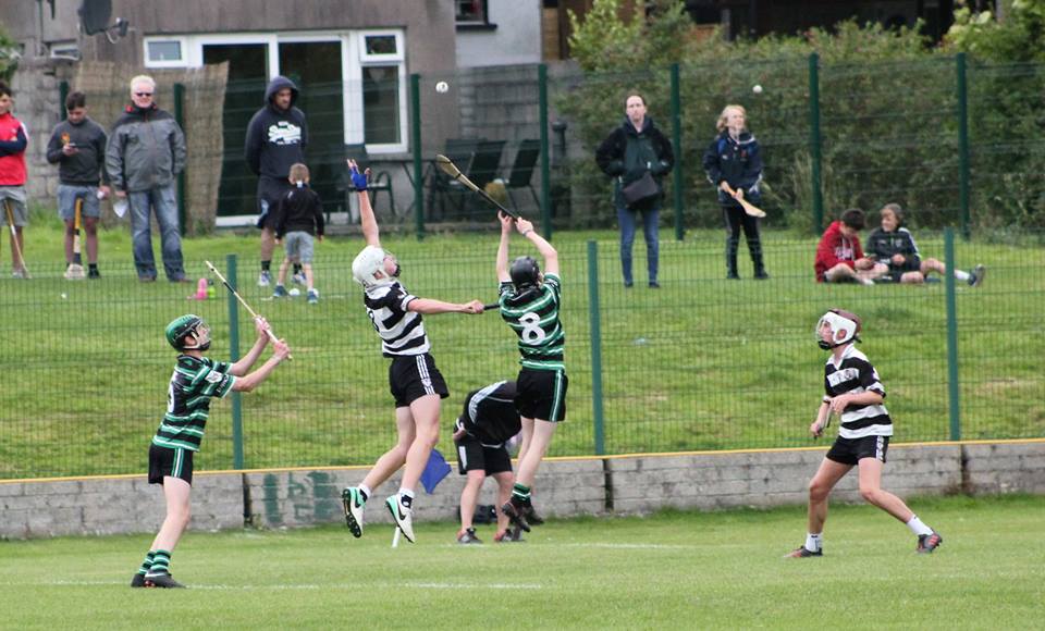 Douglas Hurling & Football Club