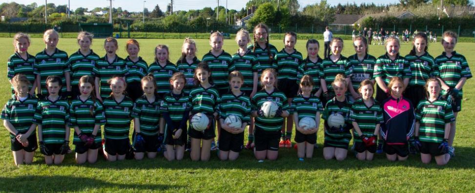 Douglas Hurling & Football Club
