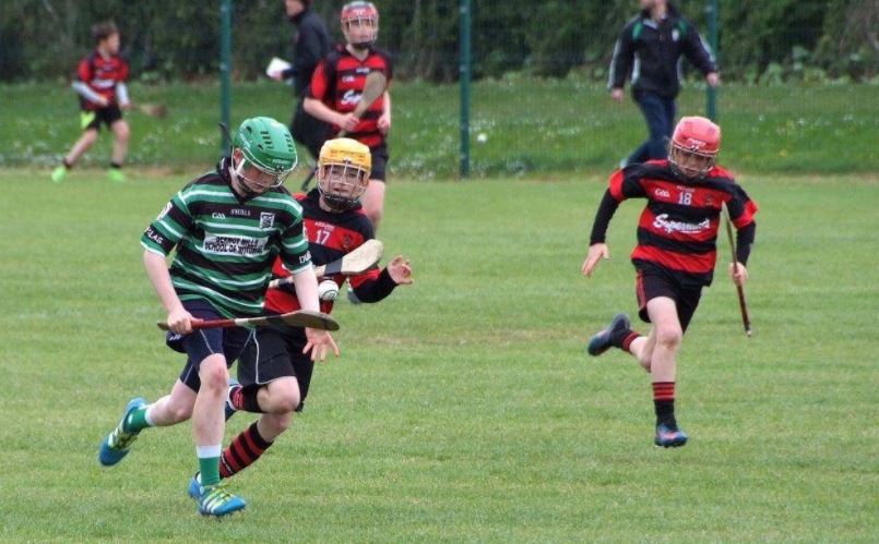 Douglas Hurling & Football Club