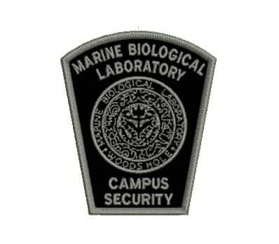 Custom Security Patches