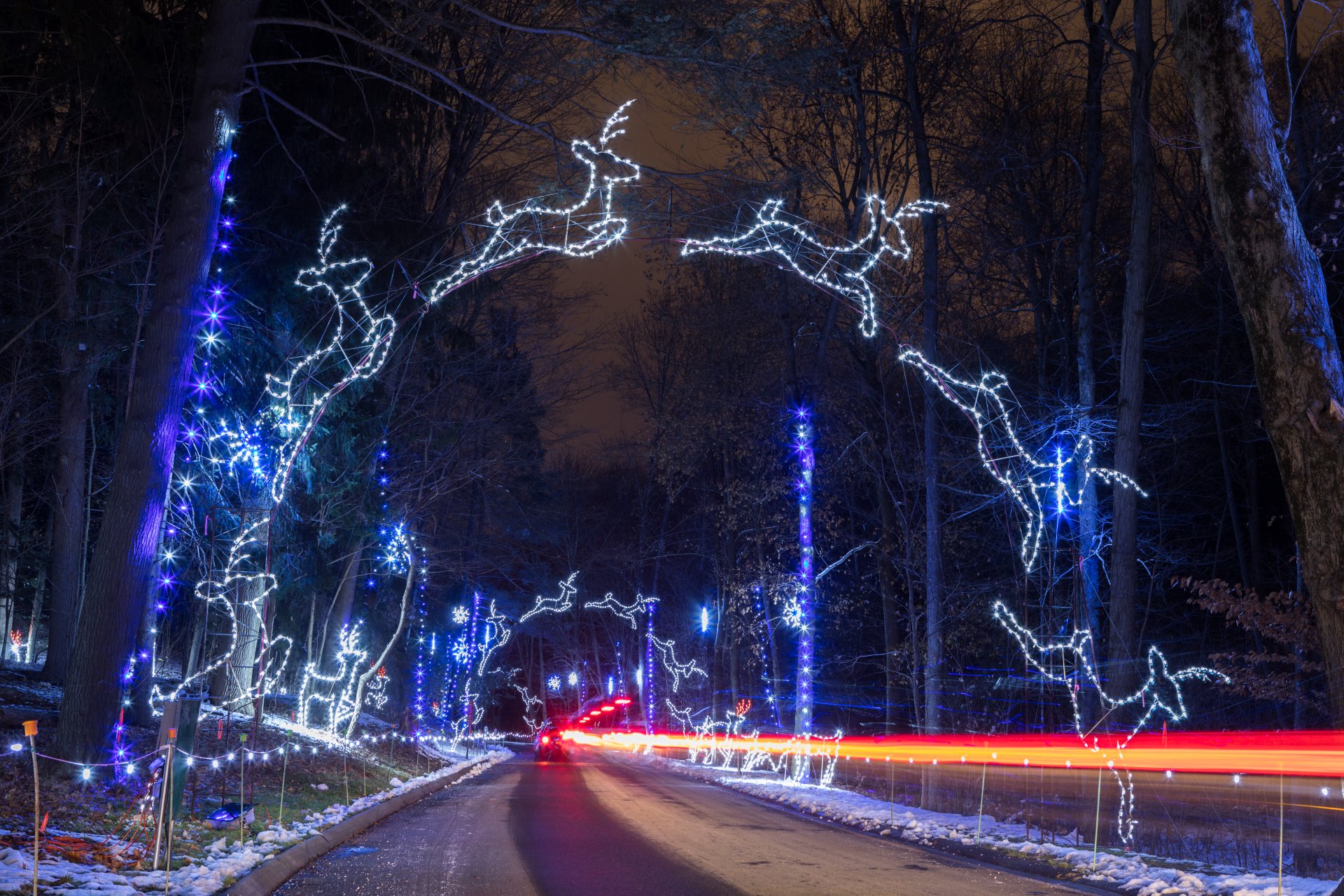Bright Nights at Forest Park