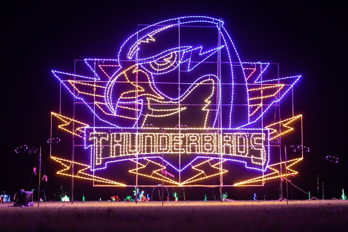 Virtual Tour of Holiday Light Festival | Bright Nights at Forest Park ...