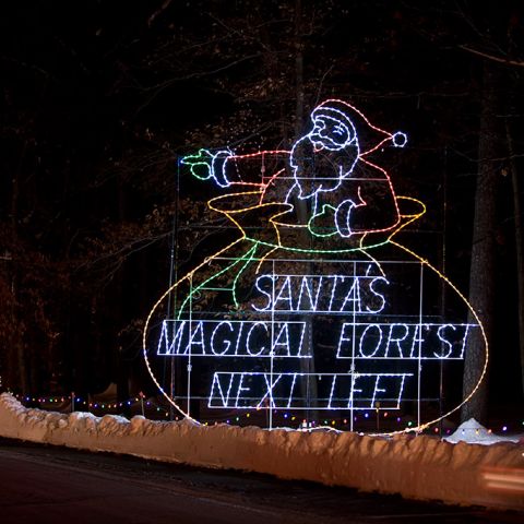 Bright Nights at Forest Park, Springfield