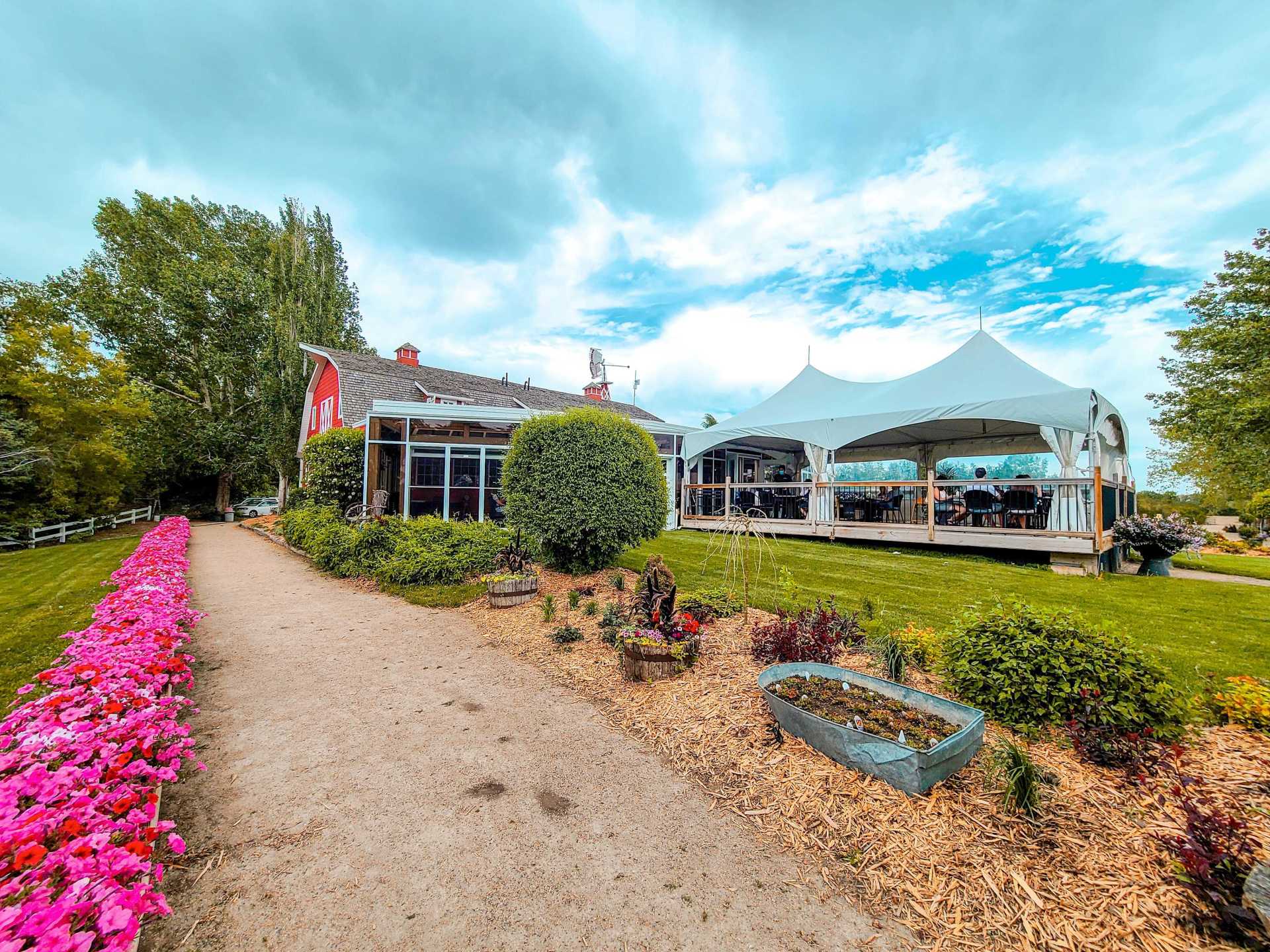 The Berry Barn | Restaurant, Greenhouse, Bakery, Gift Shop and more!