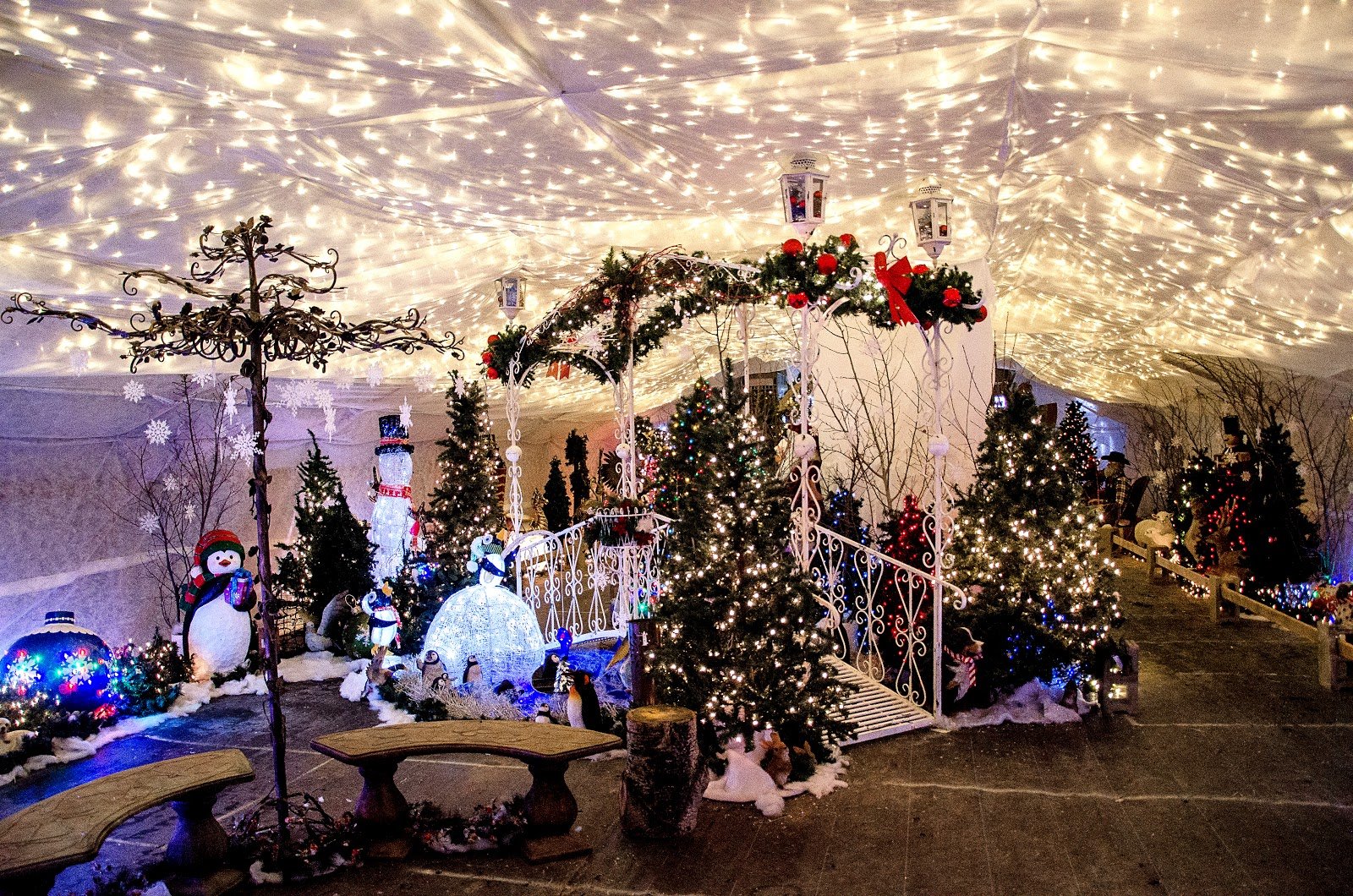 The Berry Barn | Fresh Saskatoon Berries, Bakery, and Restaurant