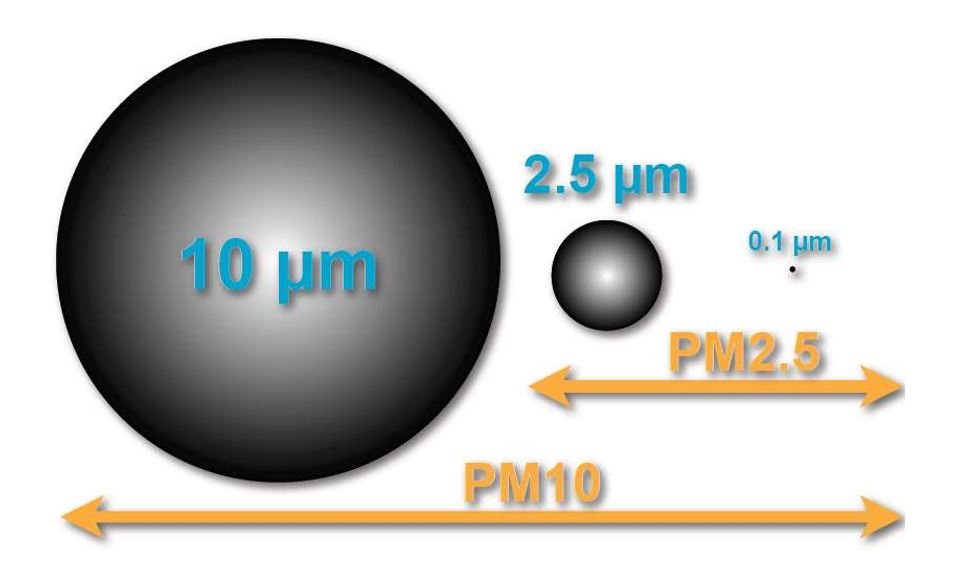 Nanoparticle Size Comparison