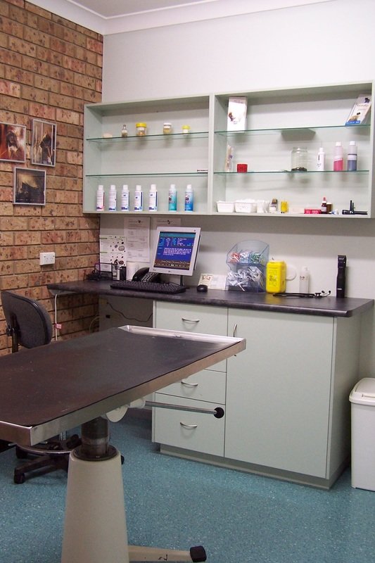 Animal Health Checks in Grafton | Grafton Veterinary Clinic