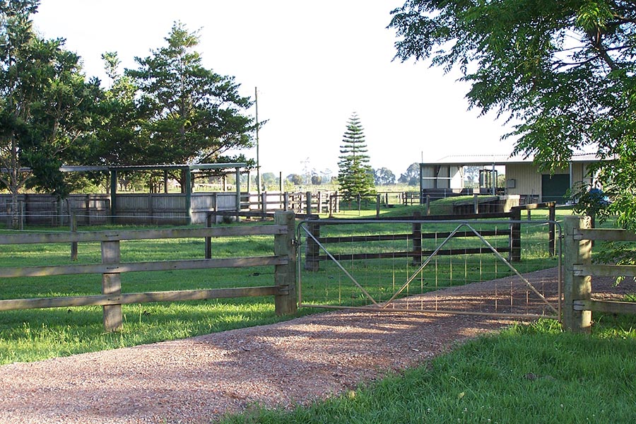Equine Health Services in Grafton | Grafton Veterinary Clinic