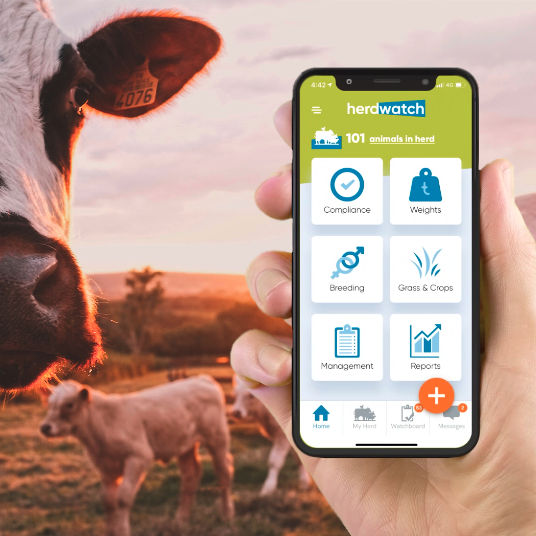 Bullmatch by Herdwatch