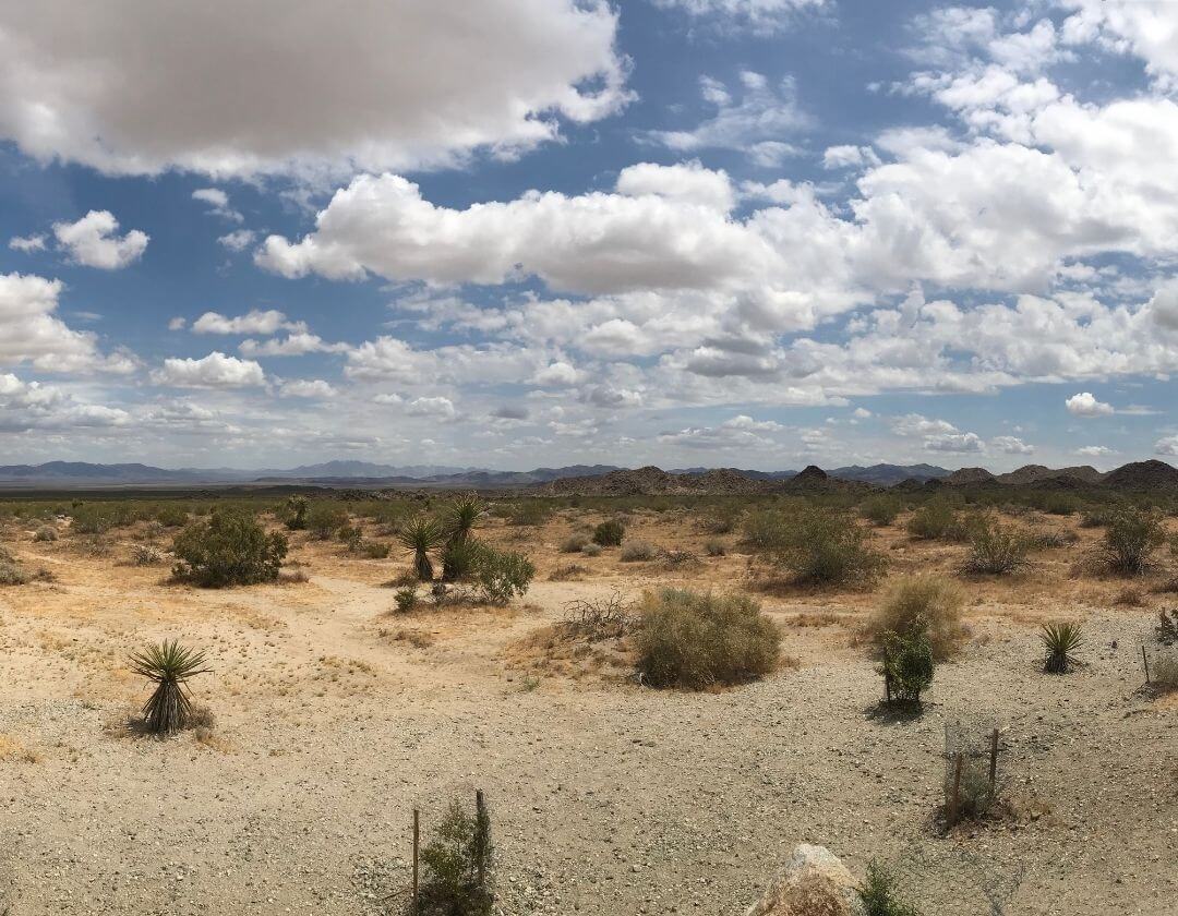 Desert Ecosystems | Exploring the World's Driest Landscapes | edZOOcating
