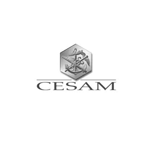 ABOUT - Our team, our customers and the networks we represent