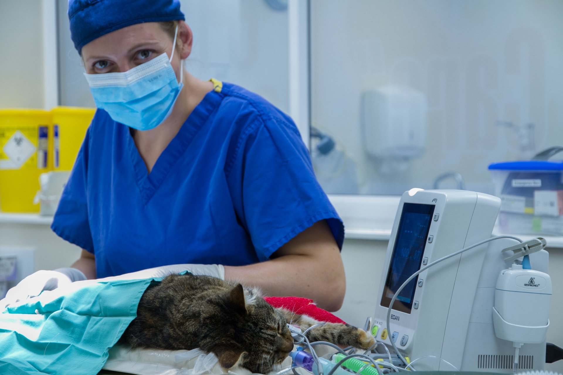 Veterinary practice | Shepherds' Vets Centre Kidderminster