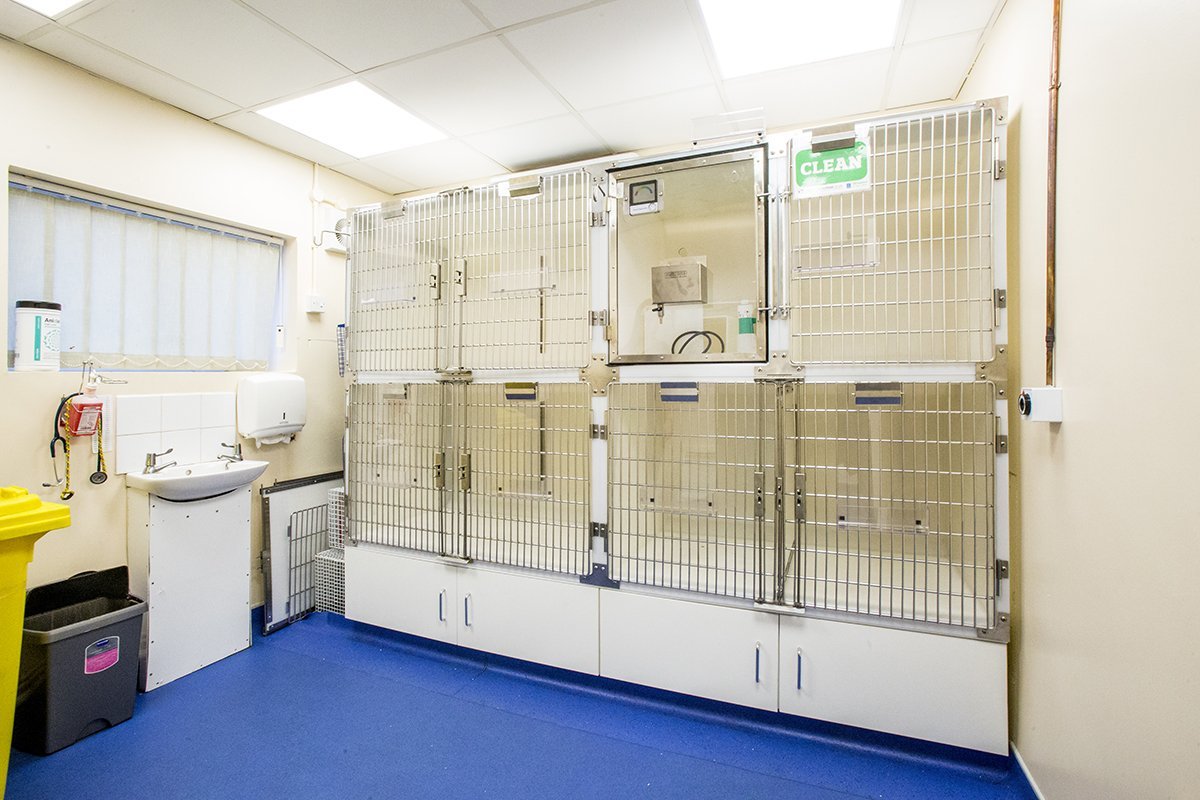 Vet Gallery | Shepherds' Vets Centre Kidderminster