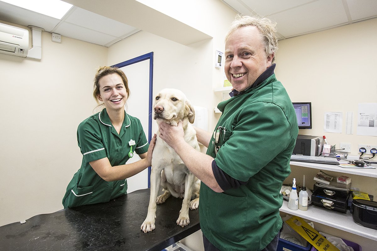 Vet Gallery | Shepherds' Vets Centre Kidderminster