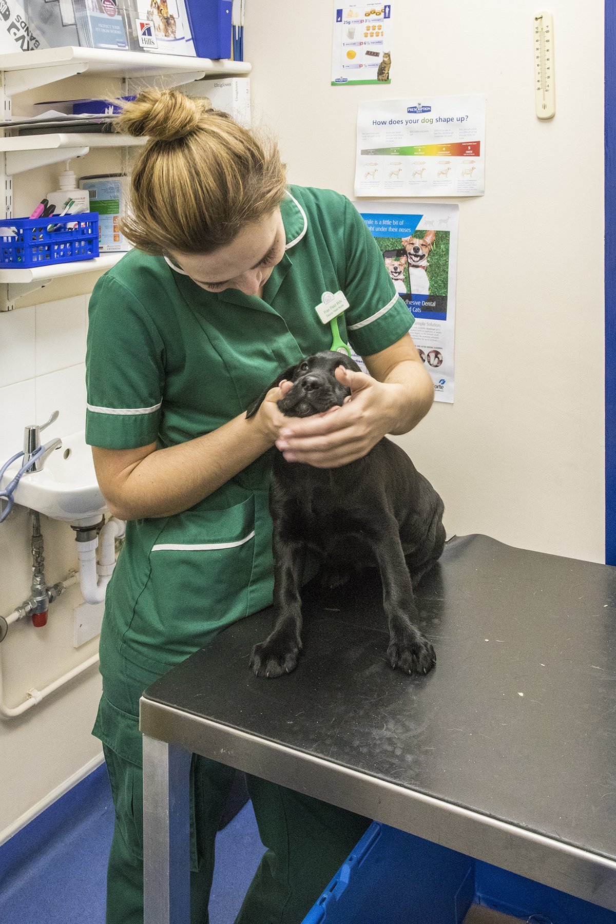 Vet Gallery | Shepherds' Vets Centre Kidderminster