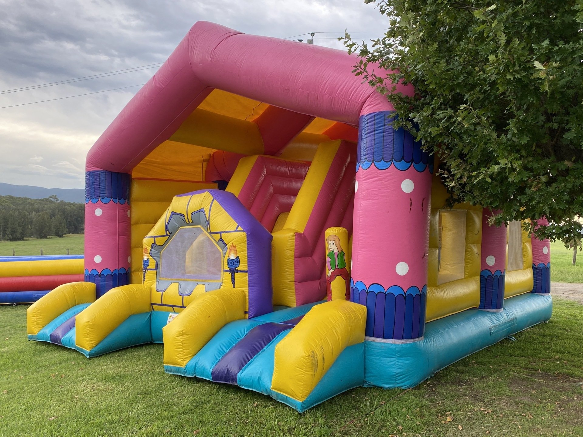 Large Pink Jumping Castle Hire Newcastle | Sydney | Central Coast