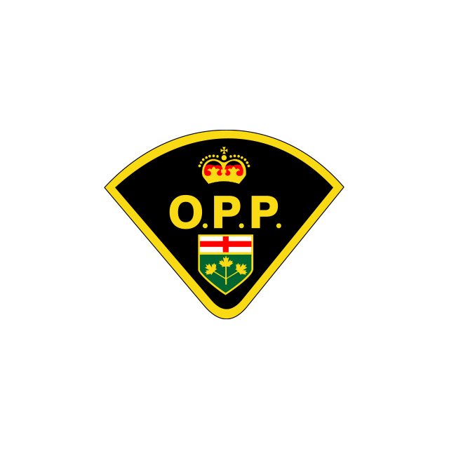 Employment/Training Opportunities