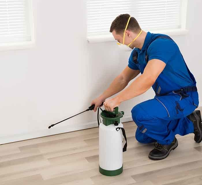 AAA One Pest Control | Exterminators in Fraser Coast