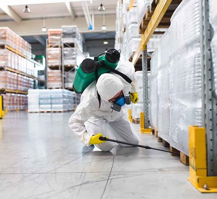 AAA One Pest Control | Exterminators in Fraser Coast