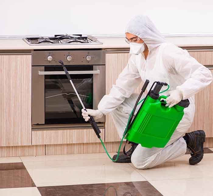 AAA One Pest Control | Exterminators in Fraser Coast