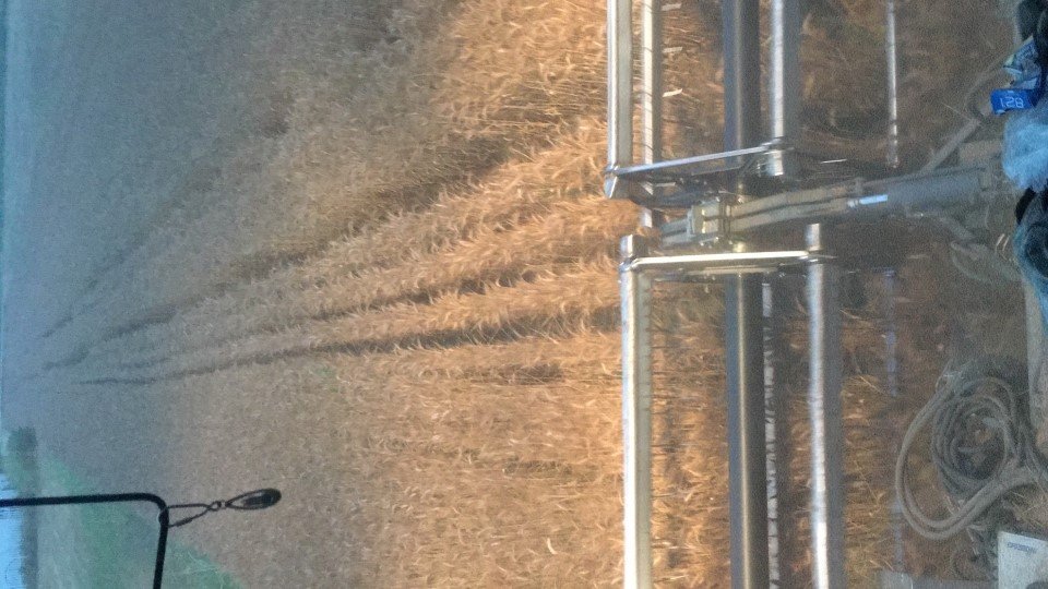 Prodotti a km zero | Carmagnola (TO) | La Cassin-a ed Bajet