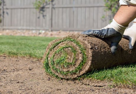 A turf supplier, Quality Turf Supplies in Medway